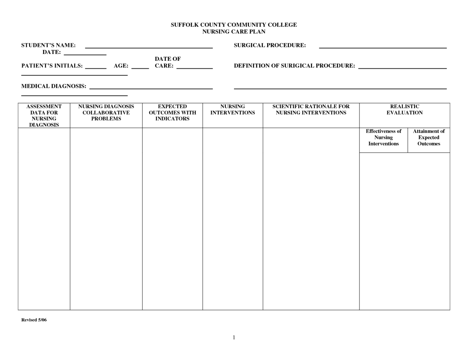 Nursing Care Plan Template Word