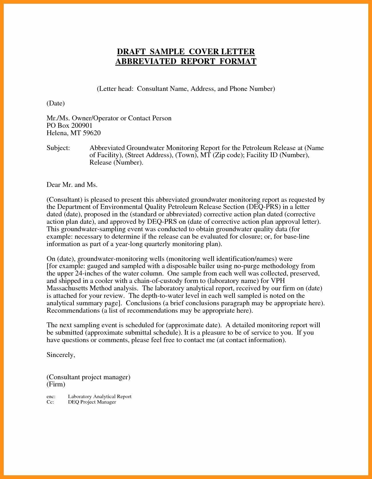 Summary Annual Report Template